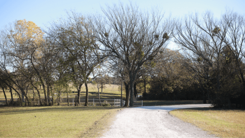The Farm | Whistlejacket Farm