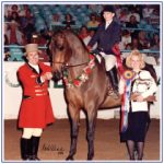 Hall of Fame | Whistlejacket Farm
