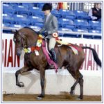 Hall of Fame | Whistlejacket Farm