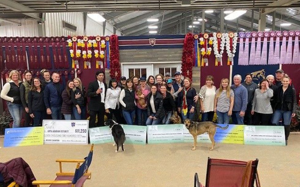 Whistlejacket Farm | Dallas-Fort Worth Equestrian Center