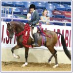 Hall of Fame | Whistlejacket Farm